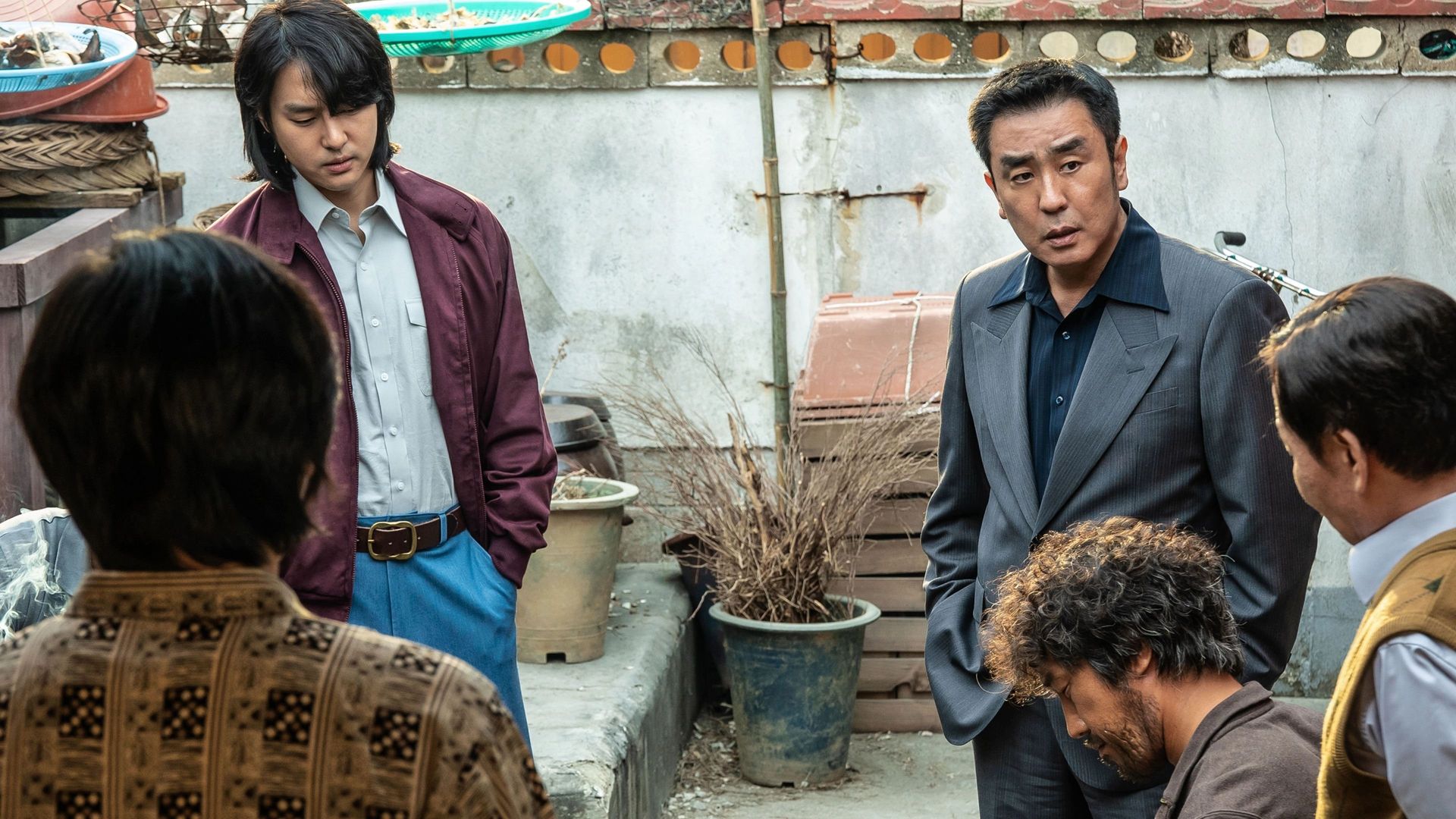 D-1 '파인: 촌뜨기들', 보물선 둘러싼 욕망 전쟁...류승룡 VS 임수정